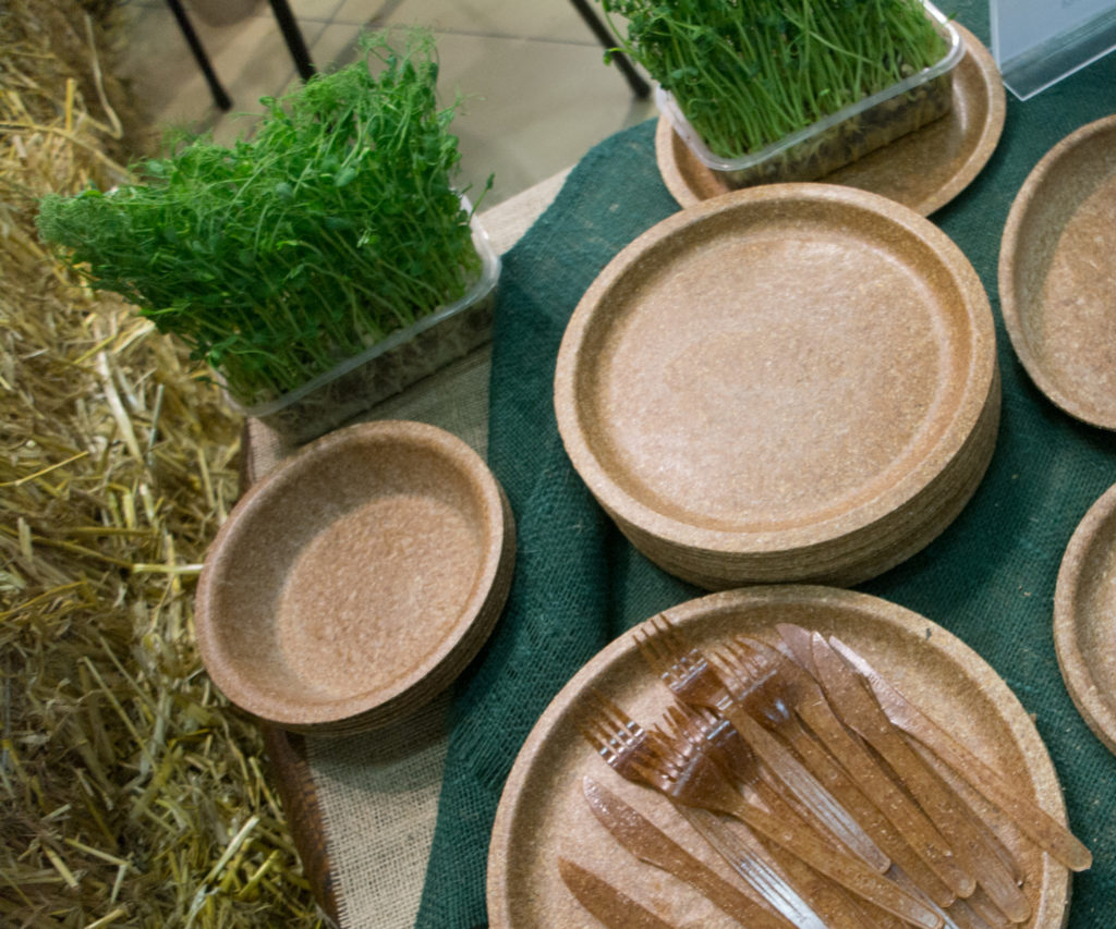 Organic dishes organic-dishes